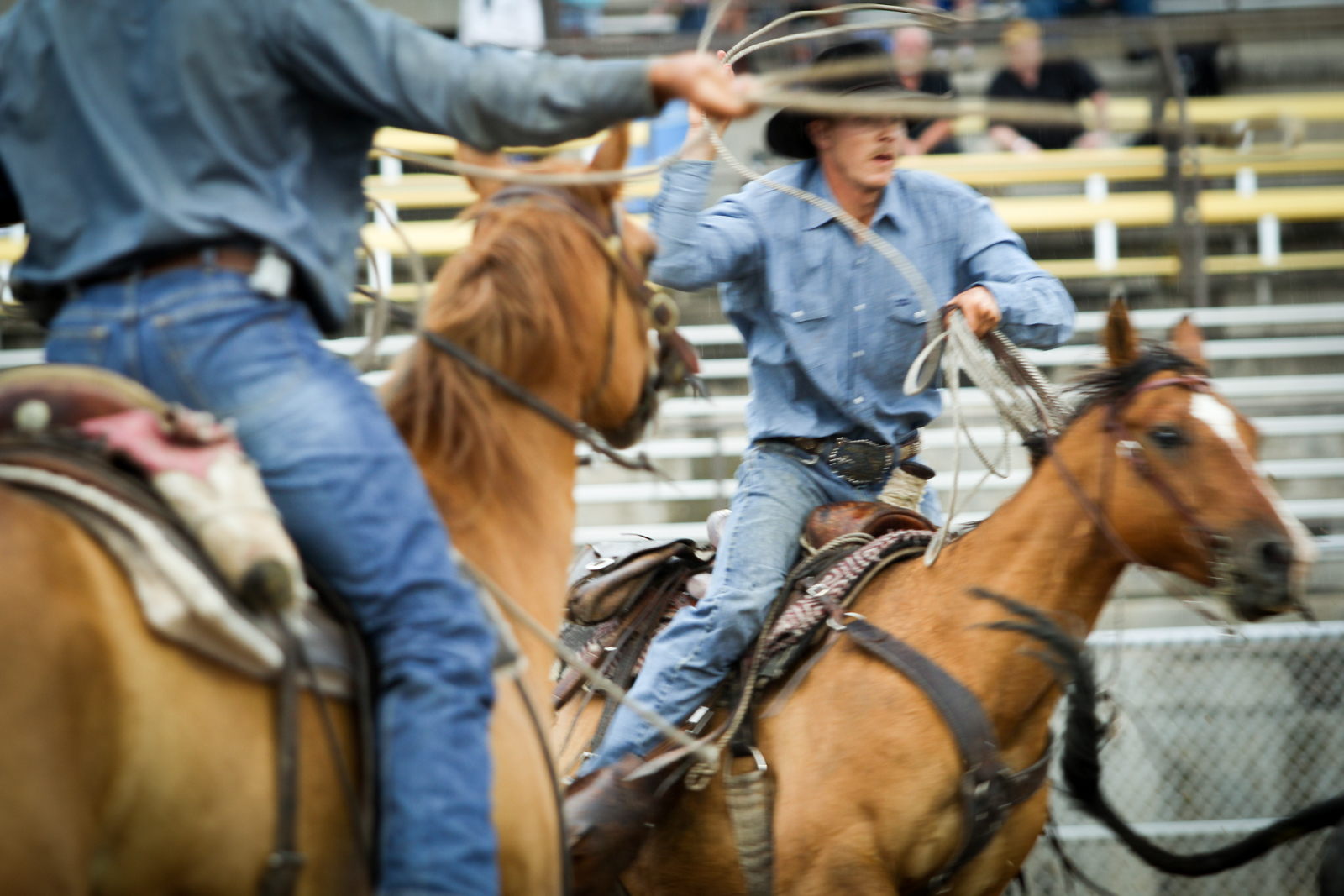 Working Ranch Rodeo | Stephanie Hyrup Photography