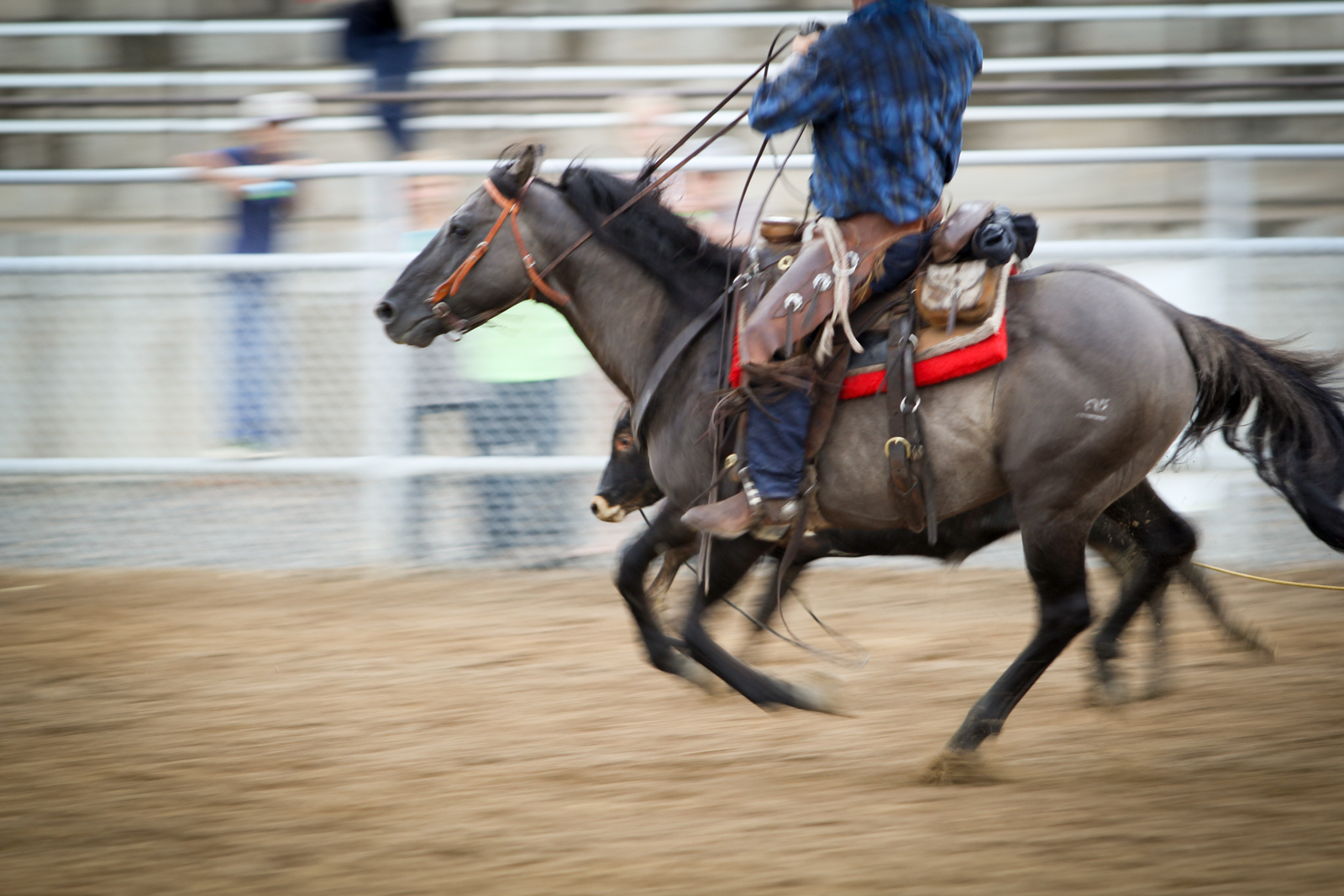 Working Ranch Rodeo | Stephanie Hyrup Photography