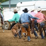 Working Ranch Rodeo | Stephanie Hyrup Photography