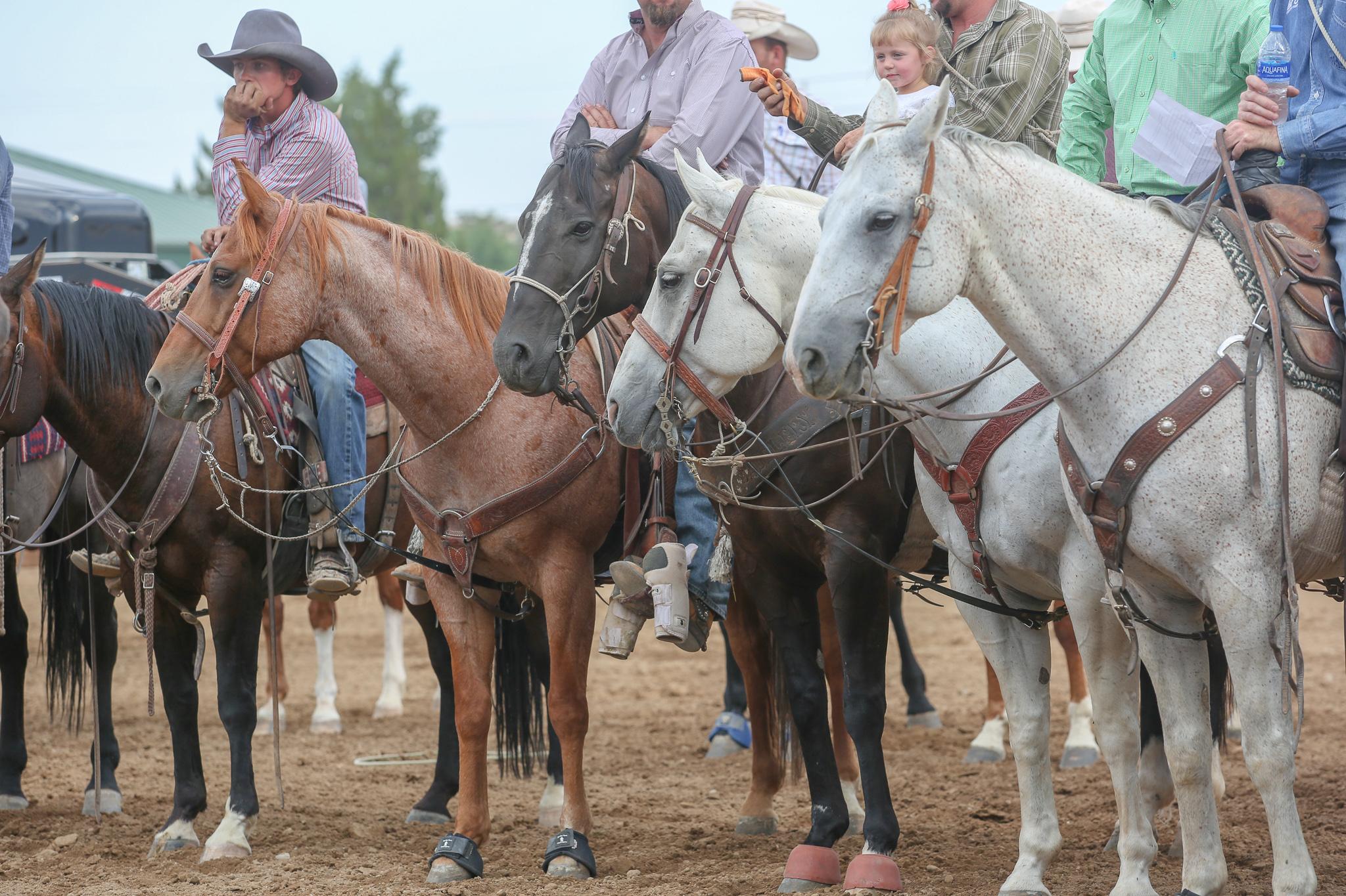 Working Ranch Rodeo 2018 | Stephanie Hyrup Photography