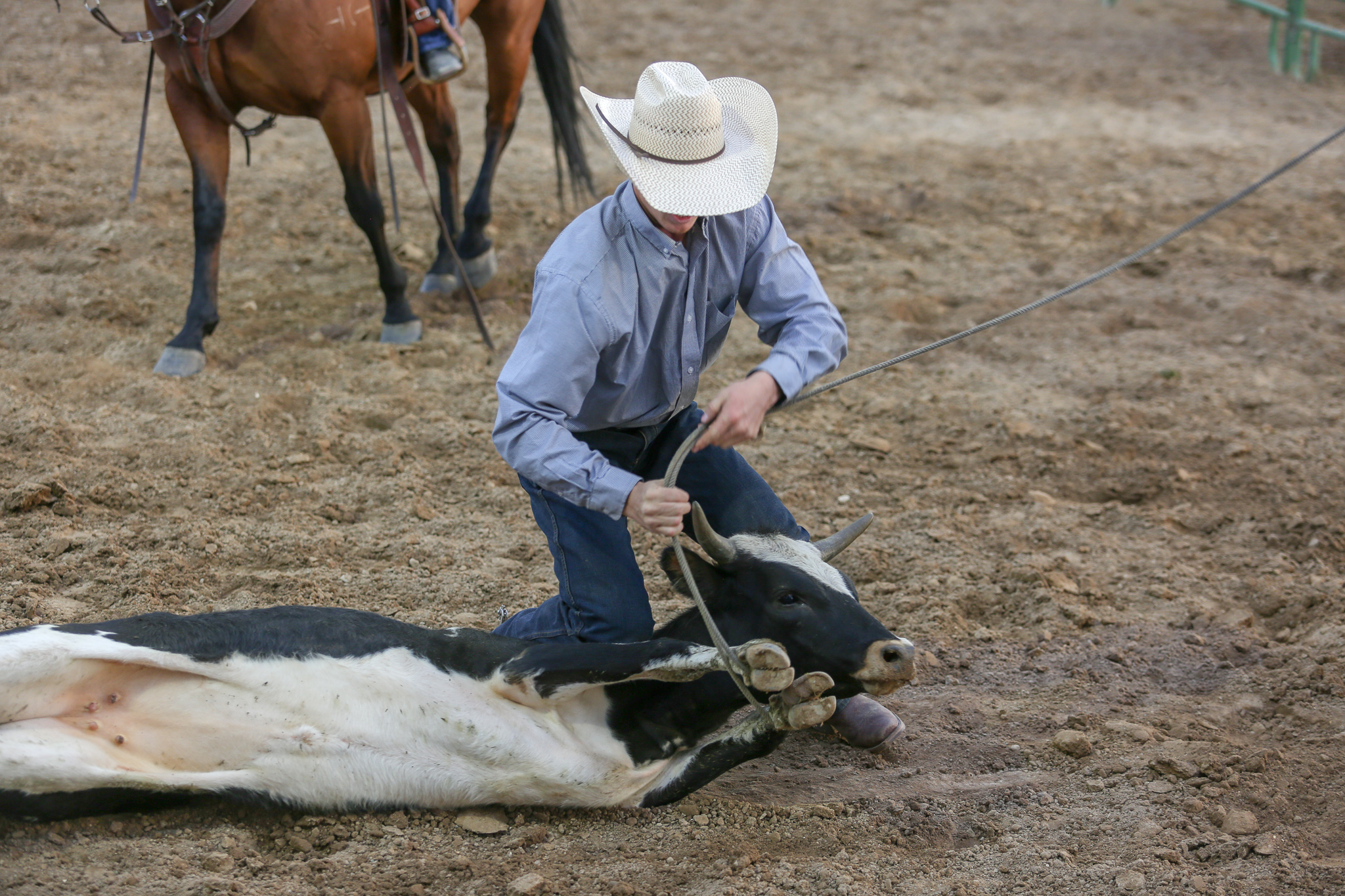 Working Ranch Rodeo 2018 | Stephanie Hyrup Photography