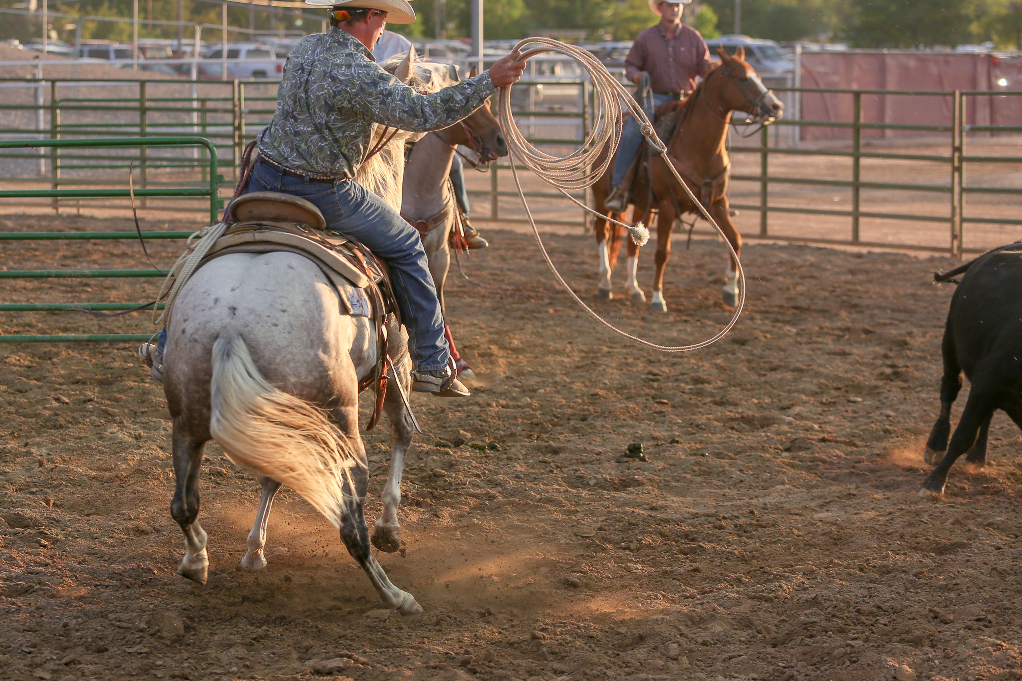 Working Ranch Rodeo 2018 | Stephanie Hyrup Photography